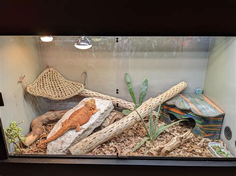 First Bioactive Setup Any Advice On It R Bioactive