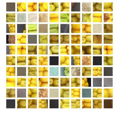 Modeling Structure Of Our Proposed Corn Kernel Detection Method A