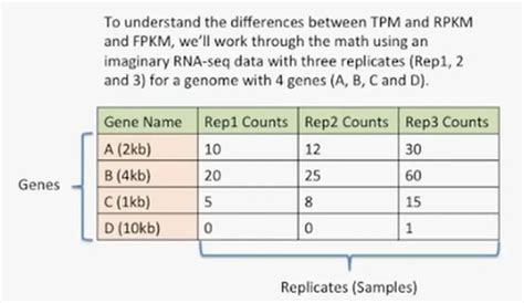 Rpkm、fpkm 和 Tpm Cpm Csdn博客
