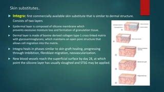 Concepts Of Skin Grafts And Skin Substitutes Pptx