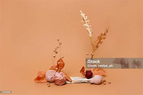 화장품을 보여주기 위해 가을 단풍이있는 나무 연단 브랜딩 및 포장 프레젠테이션을 위한 주황색 배경 가을에 대한 스톡 사진 및 기타 이미지 Istock