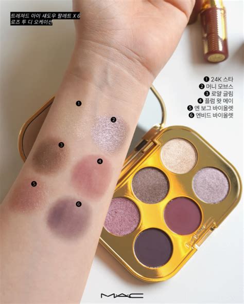 네이버 인플루언서