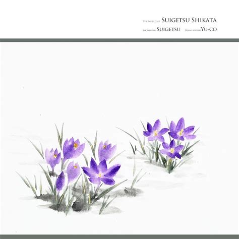 クロッカス💜🌿 花 水彩画 花 水彩