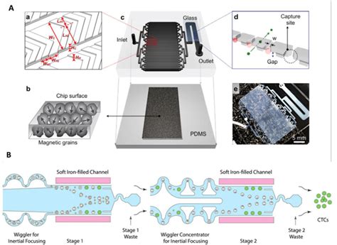 23 Magnetic Composites For Ctc Isolation In Microfluidic Devices A