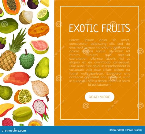 Exotic Fruits Poster Or Banner Design With Ripe And Juicy Tropical Food