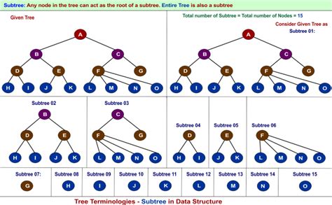 Basic Tree Terminologies In Data Structure Cs Taleem