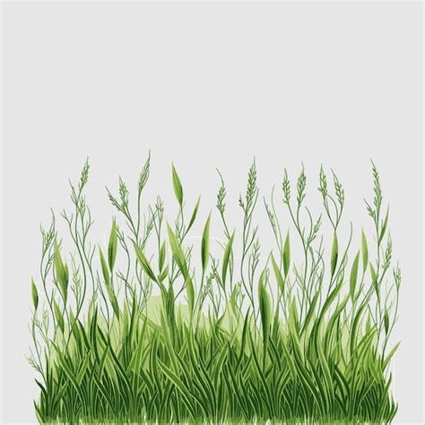 Premium Vector Grass Vector For Your Design