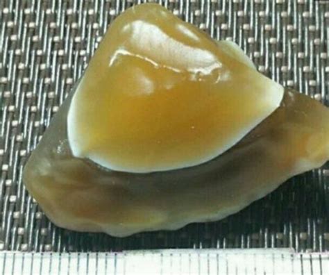 女子在河邊撿到一小塊皮蛋有人當場掏出1000塊錢想買下來 每日頭條