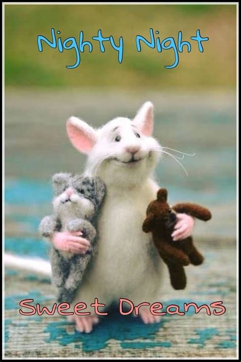 Funny Good Night Images With Quotes