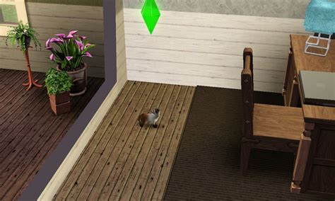 Random Photographs Hidden Paradise