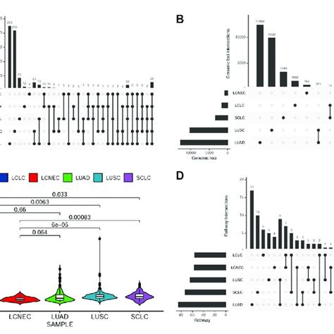 Comparison Of Mutation Landscape Between This Cohort And Other Three
