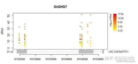 5分钟教你做基因单倍型分析 知乎
