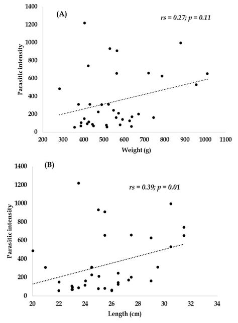 Correlation Between Acanthocephalan Parasite Neoechinorhynchus