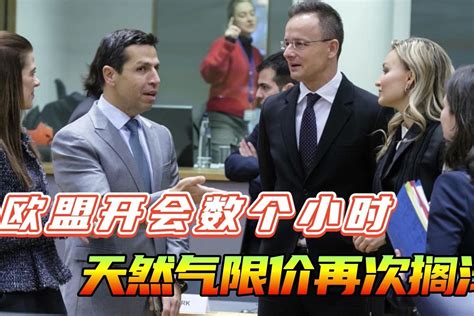 天然气限价限了个寂寞欧盟开会数个小时天然气限价达不成共识 凤凰网视频 凤凰网