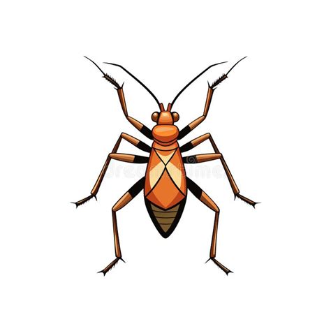 Cartoon Assassin Bug Illustration With White Background And Black