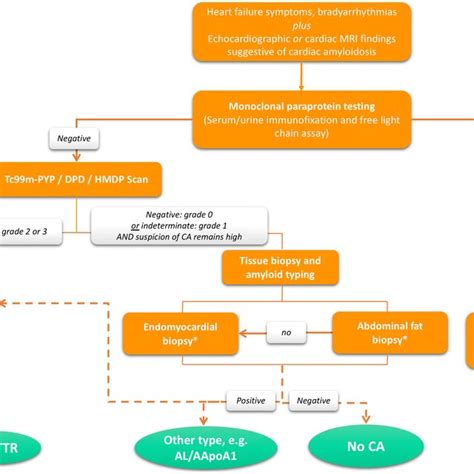 Proposed Algorithm For The Diagnostic Workup Of Patients With Suspected Download Scientific