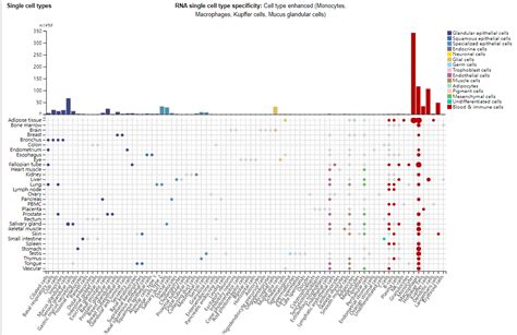 病原体感应器tlr2