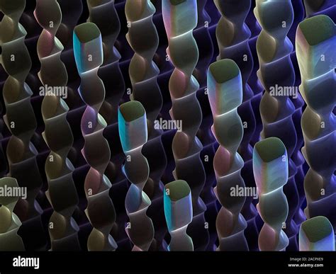 Mems Neural Interface Chip Coloured Scanning Electron Micrograph Of An