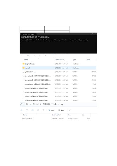Mongod Instance Bằng Cách Dùng Option Và Dùng File Config Với Yêu Cầu Cấu Hình Cho Mongd Bao