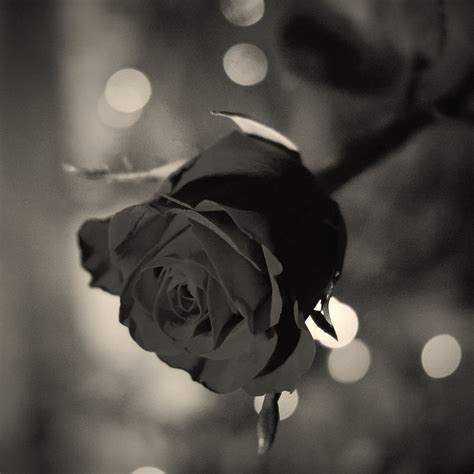 Stream Edge And Lita By Djxxaavior Listen Online For Free On Soundcloud