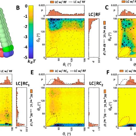 Angular Conformational Space Of The Interacting Arms A Schematic Of Download Scientific