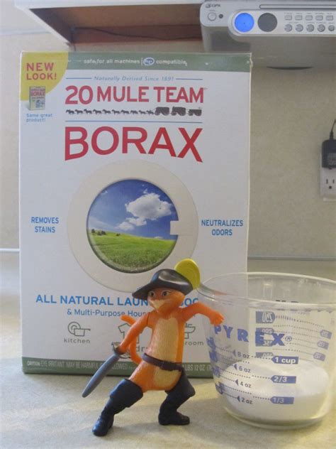 Step By Step Instructions Borax Ant Killer
