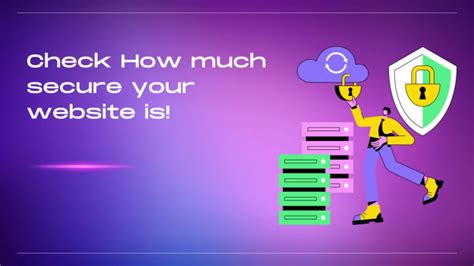 Scan Your Web Application And Report Vulnerability By Mislamayan Fiverr