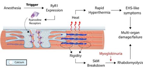 Medication And I V Administration Part 2 Attempts 401 Quiz