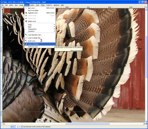 Clown Fish Cafe GIMP Tutorial How To Make A Rectangular Pattern