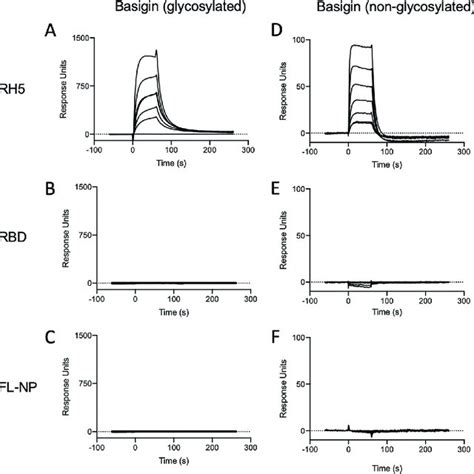 Spr Analysis Of Protein Binding Interactions Sensorgrams Show Binding Download Scientific