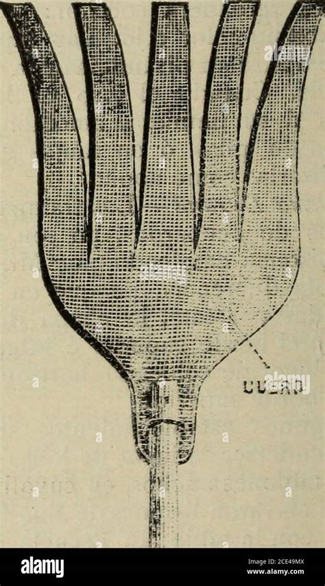 Modelo De Cubo Hi Res Stock Photography And Images Alamy