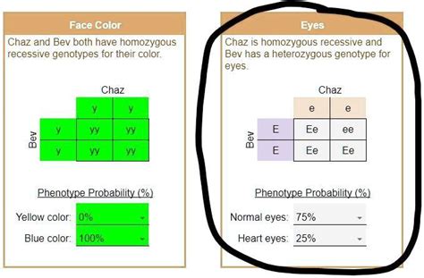 Genotype Vs Phenotype Eyes