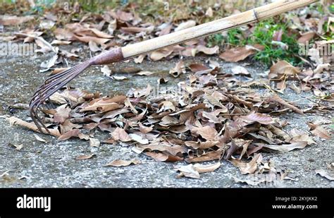 Harrowing Grass Stock Videos And Footage Hd And 4k Video Clips Alamy