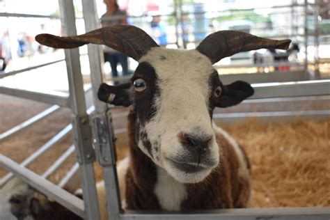 Variables Datatypes And Typecasting Episode 3