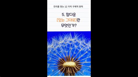 진리를 찾는 12 가지 구체적 원칙 5 참다운 있는 그대로 란 무엇인가 Youtube