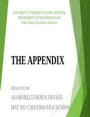 The Appendix Gross Anatomy Embryology Histology And Clinical Course Hero