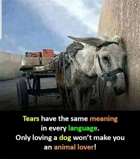Jatin Choudhary On Linkedin Love All Living Beings