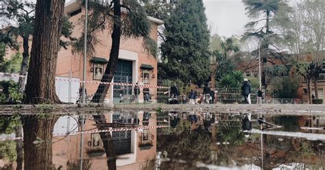 Jueves Santo 2024 Una Triste Despedida De La Fábrica De Tabacos Las
