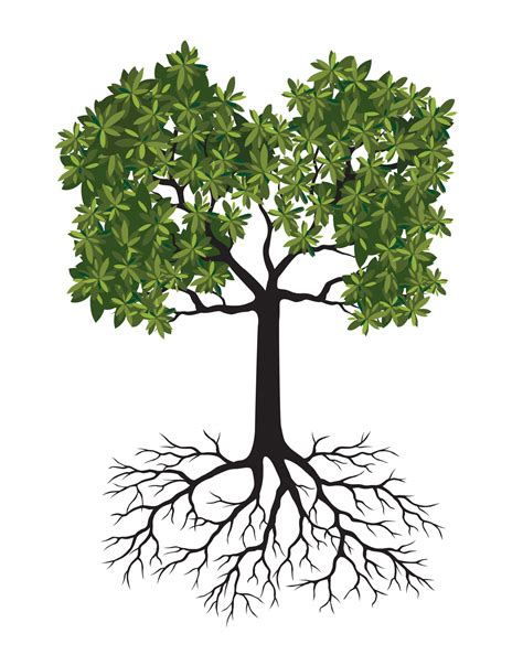 Green Tree With Roots Vector Outline Illustration Plant In Garden Vector Art At Vecteezy