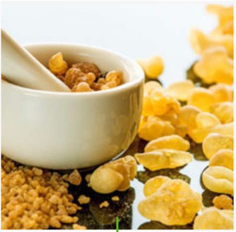 Guggul Extract At Best Price In Ahmedabad By Extroil Naturals Id 26138393391