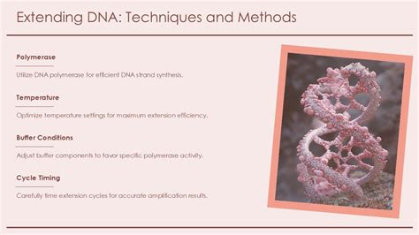 Dna Denaturation Annealing Extending Ppt Sample Acp Ppt Powerpoint