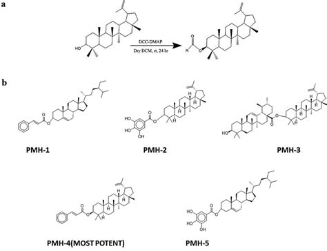 A Synthesis Scheme Of Phytomolecular Hybrids Using DCC DMAP Download Scientific Diagram