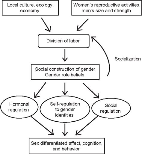 Figure 21 From Provided For Non Commercial Research And Educational