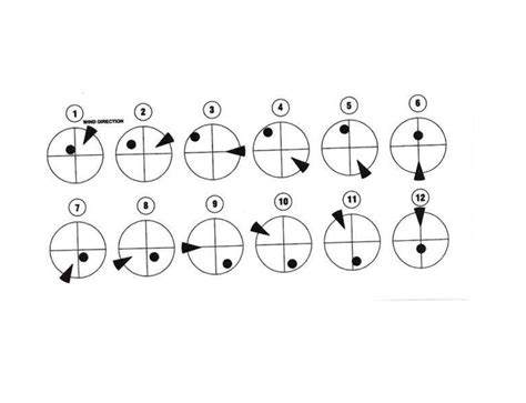 Wind Reading Fly Shooter