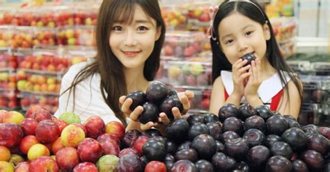 포토 자두보다 더 달콤한 체리자두