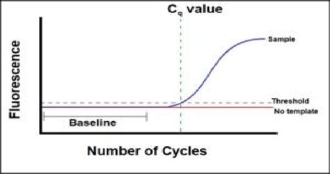The Threshold Level And C Q Value On A Real Time Pcr Amplification
