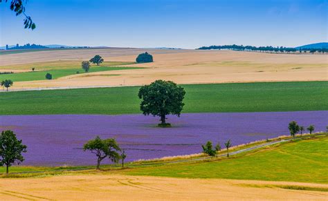 How To Switch Between Java Lts Versions 8 11 And 17 On Mac By