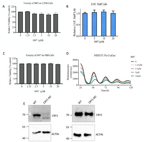 Fig S2 Dose Dependent Effect Of M47 Cell Viability Luc Degradation