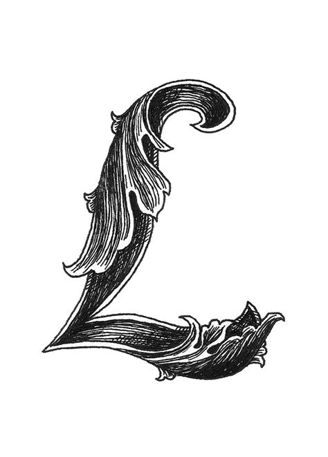 Leaf Script L Art Print By Hannah Scully Lettering Alphabet Alphabet