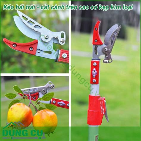Dụng Cụ Hái Quả Cắt Tỉa Cành Cây Trên Cao Dài 4m